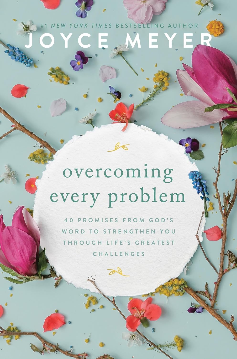 Overcoming Every Problem – Welcome To BookNooK